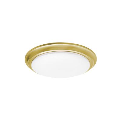 Baron 12'' LED Flush Mount 1 variations